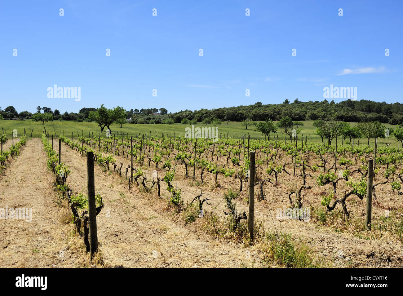 Rural majorca hi-res stock photography and images - Alamy