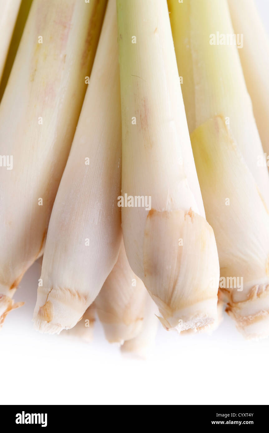 Bundle of Fresh Lemon Grass on white background Stock Photo - Alamy