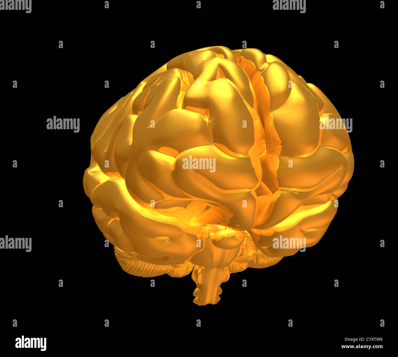 Mastery of anatomy hi-res stock photography and images - Alamy