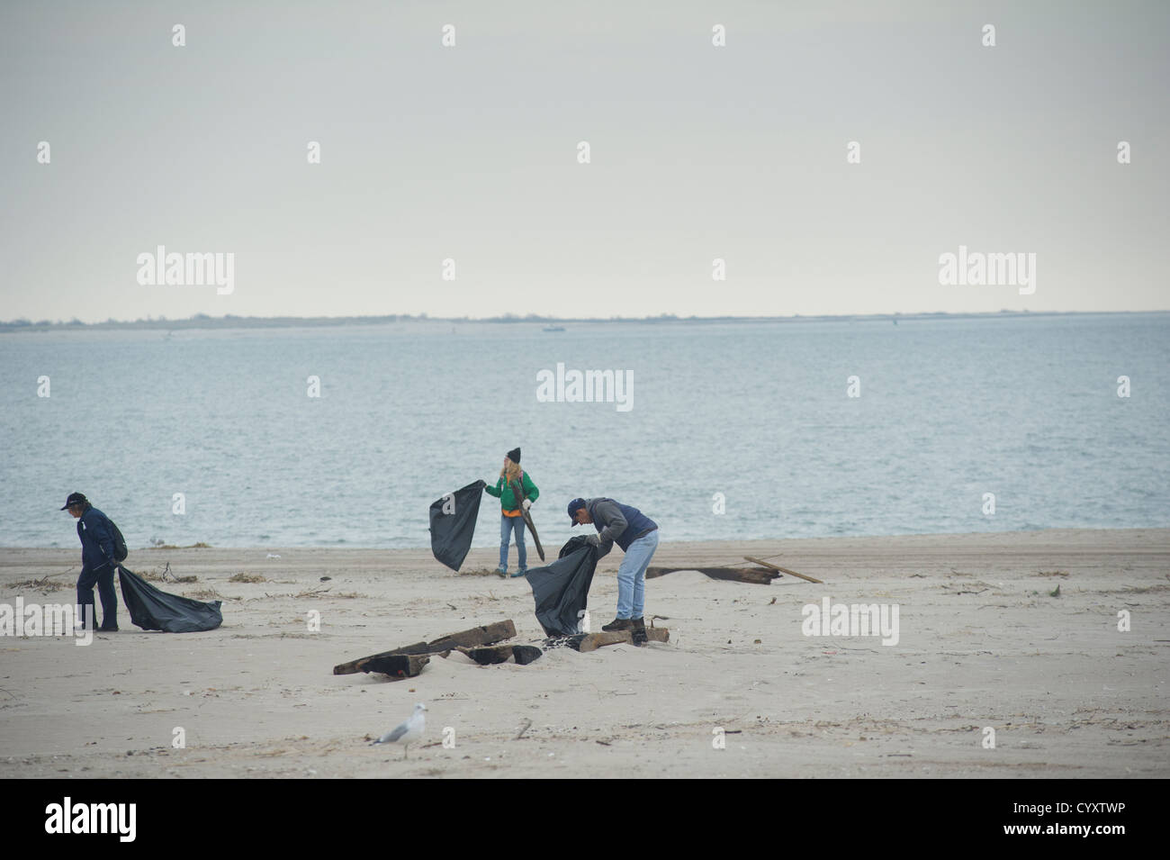 Volunteers clean up debris and sand deposited by Hurricane Sandy from ...