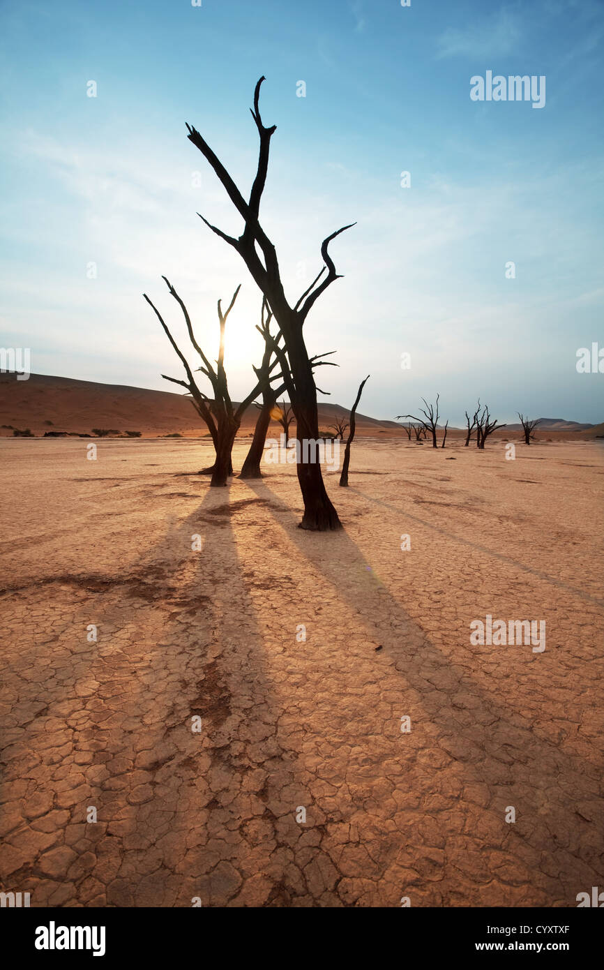 Dead valley in Namibia Stock Photo - Alamy
