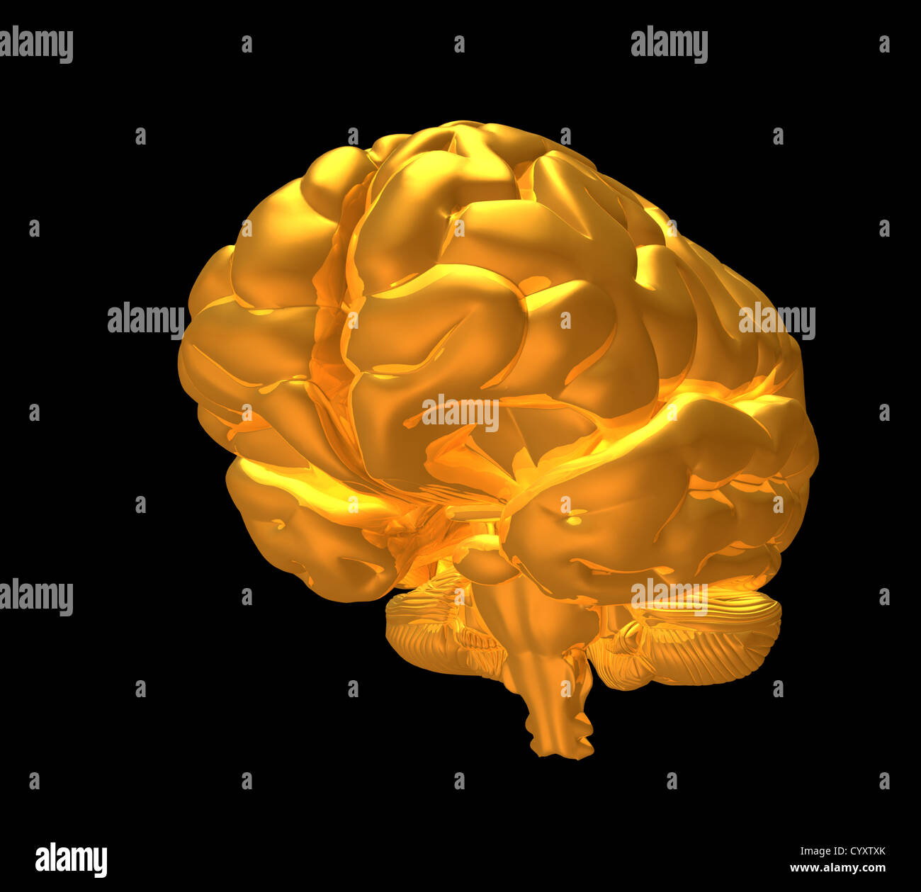 Mastery of anatomy hi-res stock photography and images - Alamy