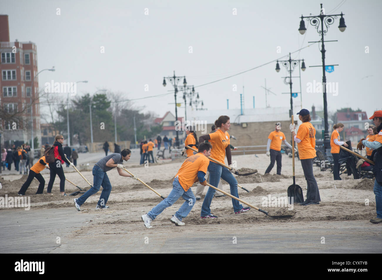 Volunteers clean up debris and sand deposited by Hurricane Sandy from ...