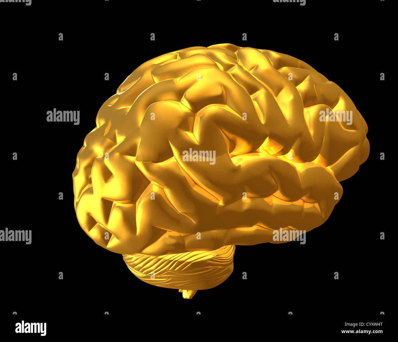 Golden genius iq success excellence hi-res stock photography and images ...