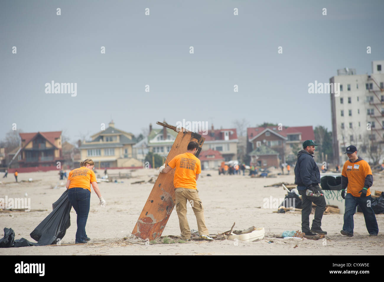 Volunteers clean up debris and sand deposited by Hurricane Sandy from ...
