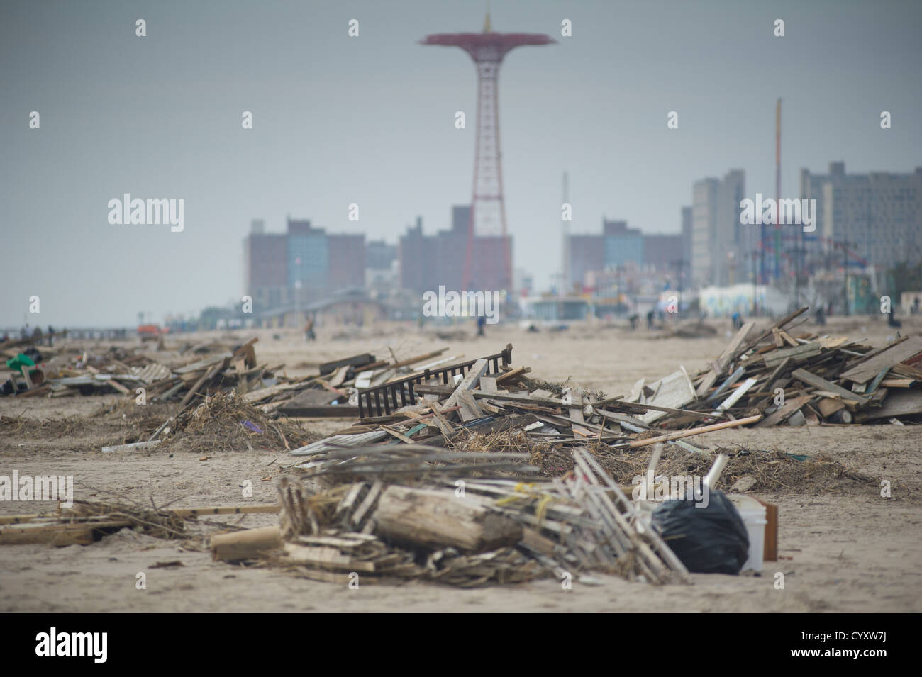 Volunteers clean up debris and sand deposited by Hurricane Sandy from ...
