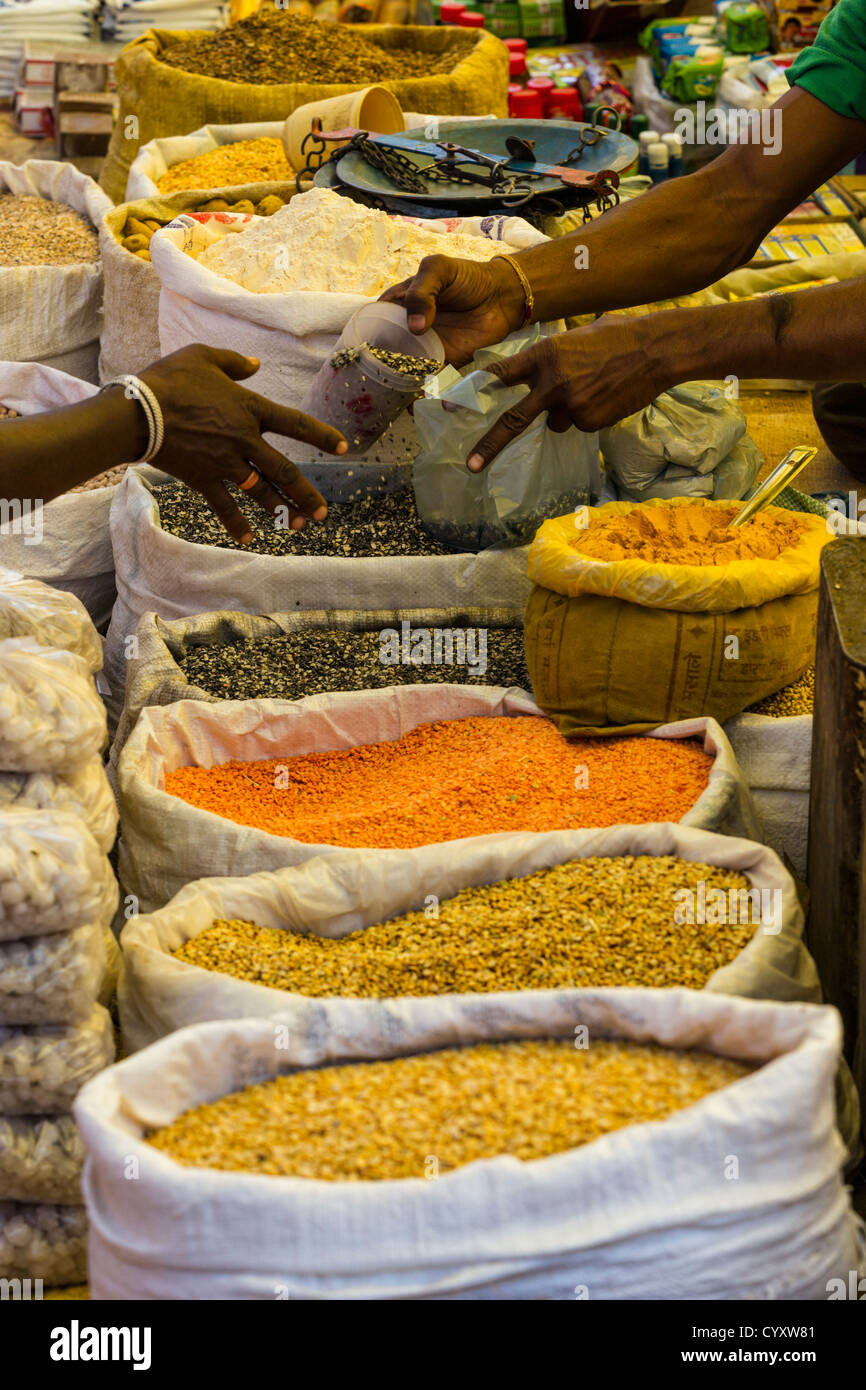 India, Madhya Pradesh, Mung Dal, urid dal and other types of lentils ...