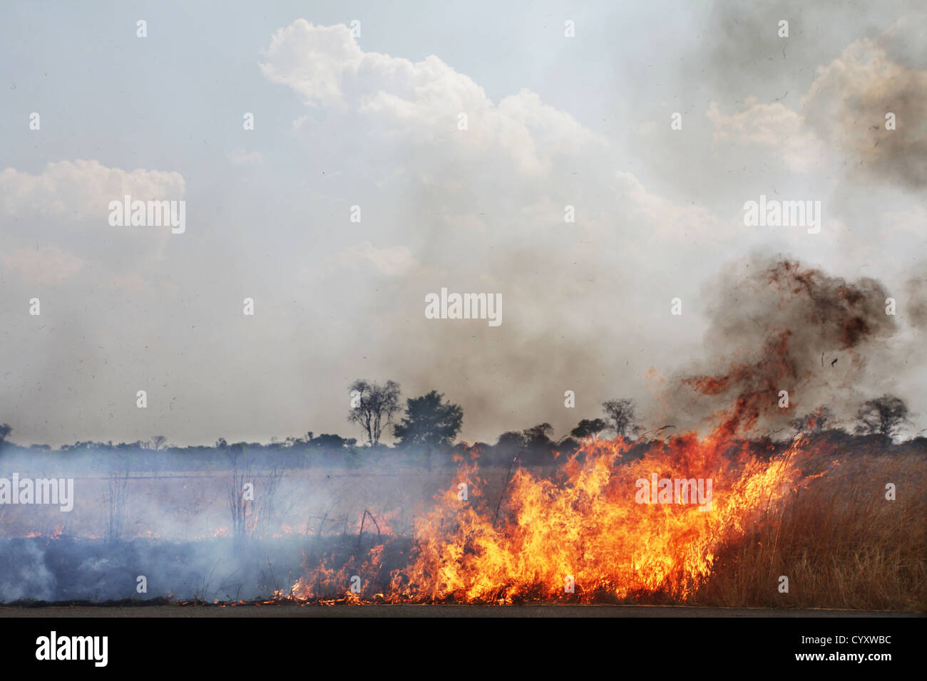 Fire in field Stock Photo - Alamy