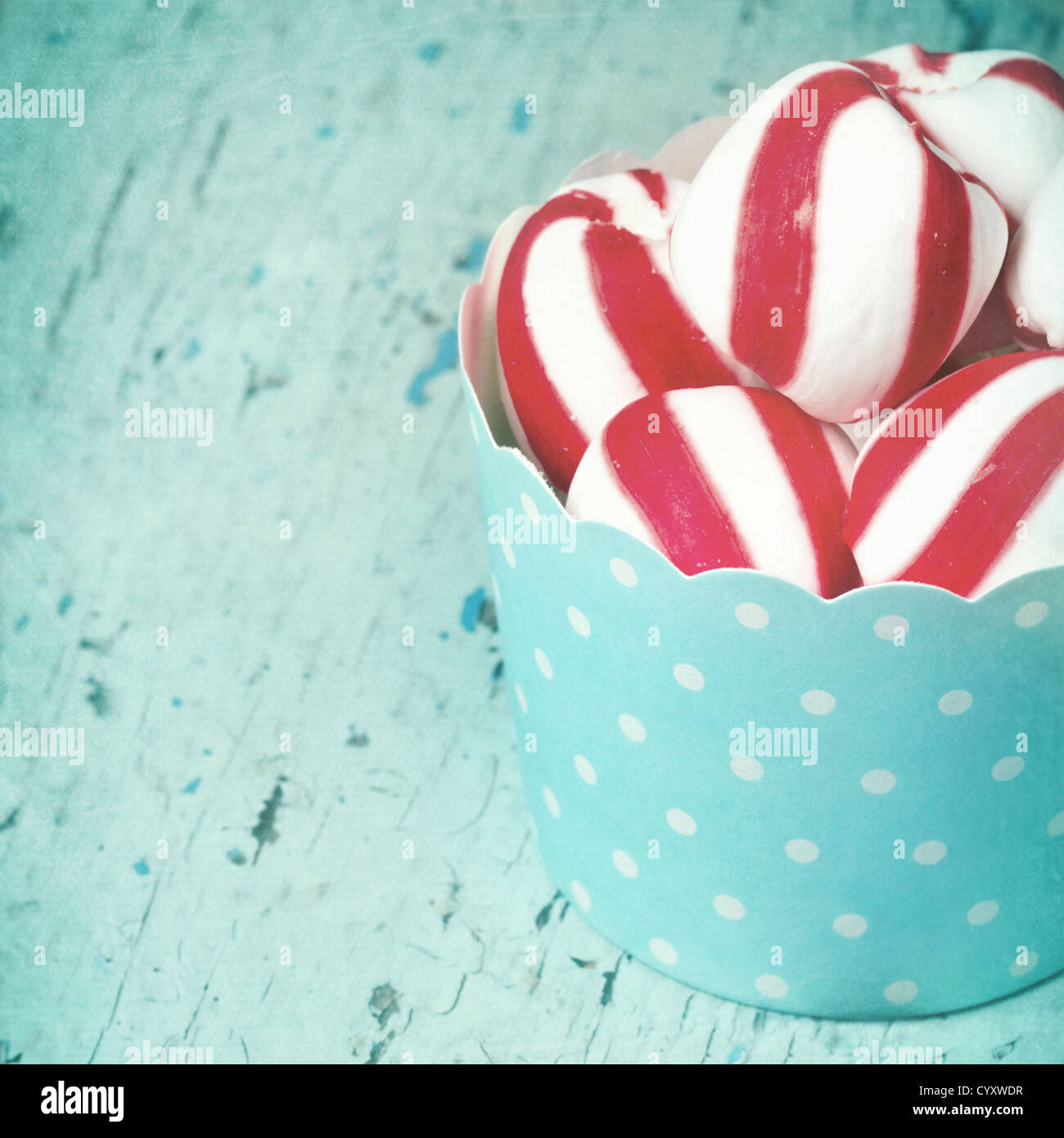 Peppermint candy in light blue paper cupcake with textured vintage ...