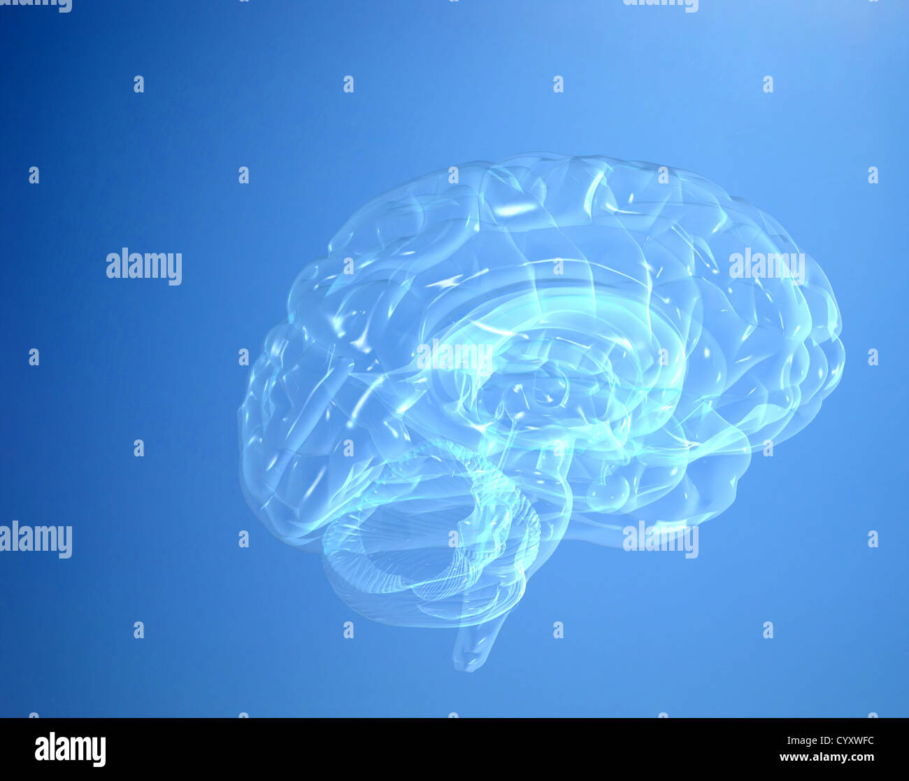 Comprehension mental hi-res stock photography and images - Alamy
