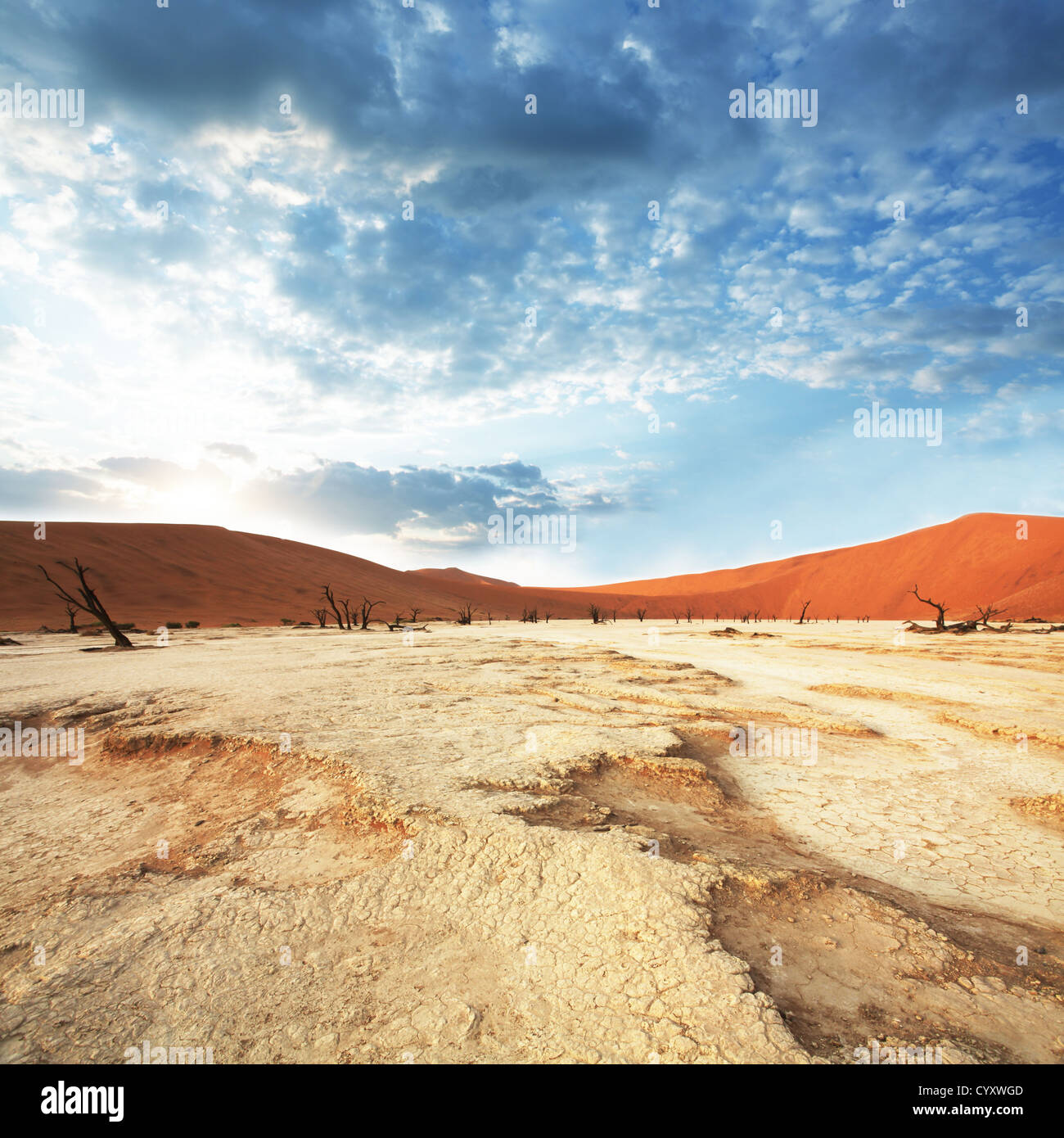 Dead valley in Namibia Stock Photo - Alamy