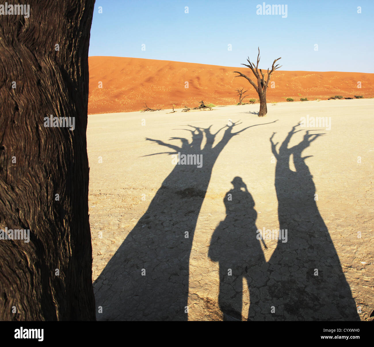 Dead valley in Namibia Stock Photo - Alamy