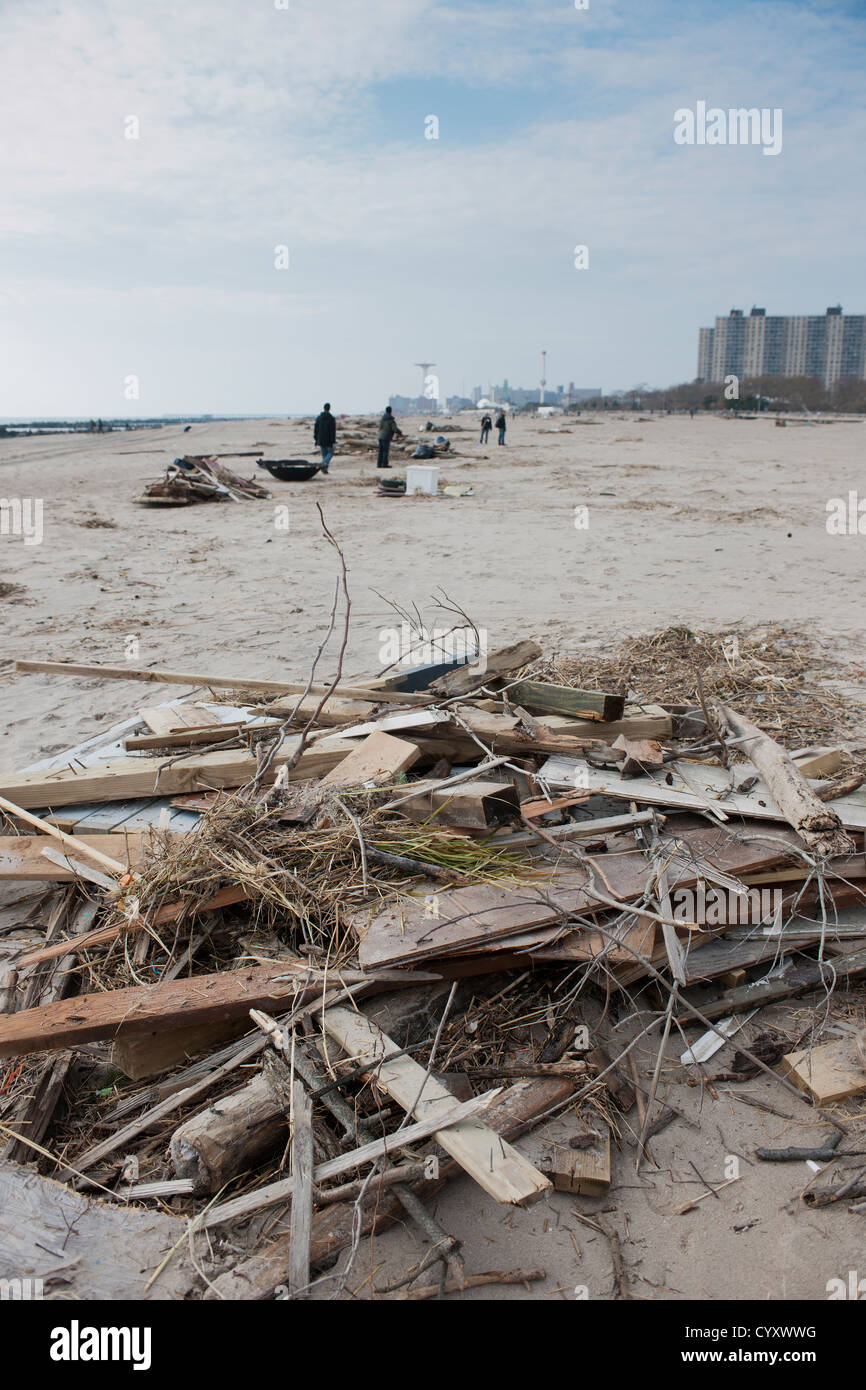 Volunteers clean up debris and sand deposited by Hurricane Sandy from ...