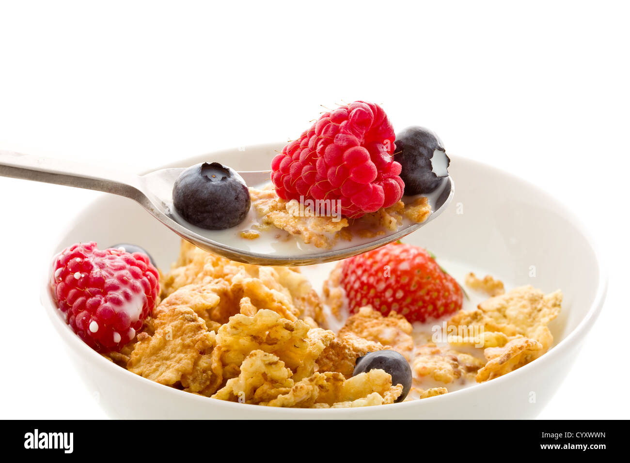 photo of delicious breafast isolated on white made of corn flakes with ...