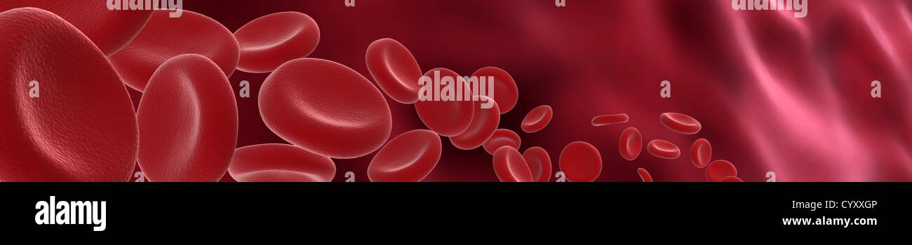 blood cells banner Stock Photo - Alamy