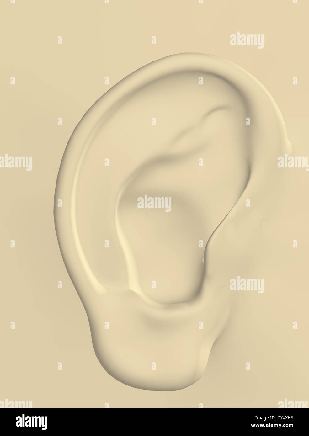 Eustachian tube ear hi-res stock photography and images - Alamy