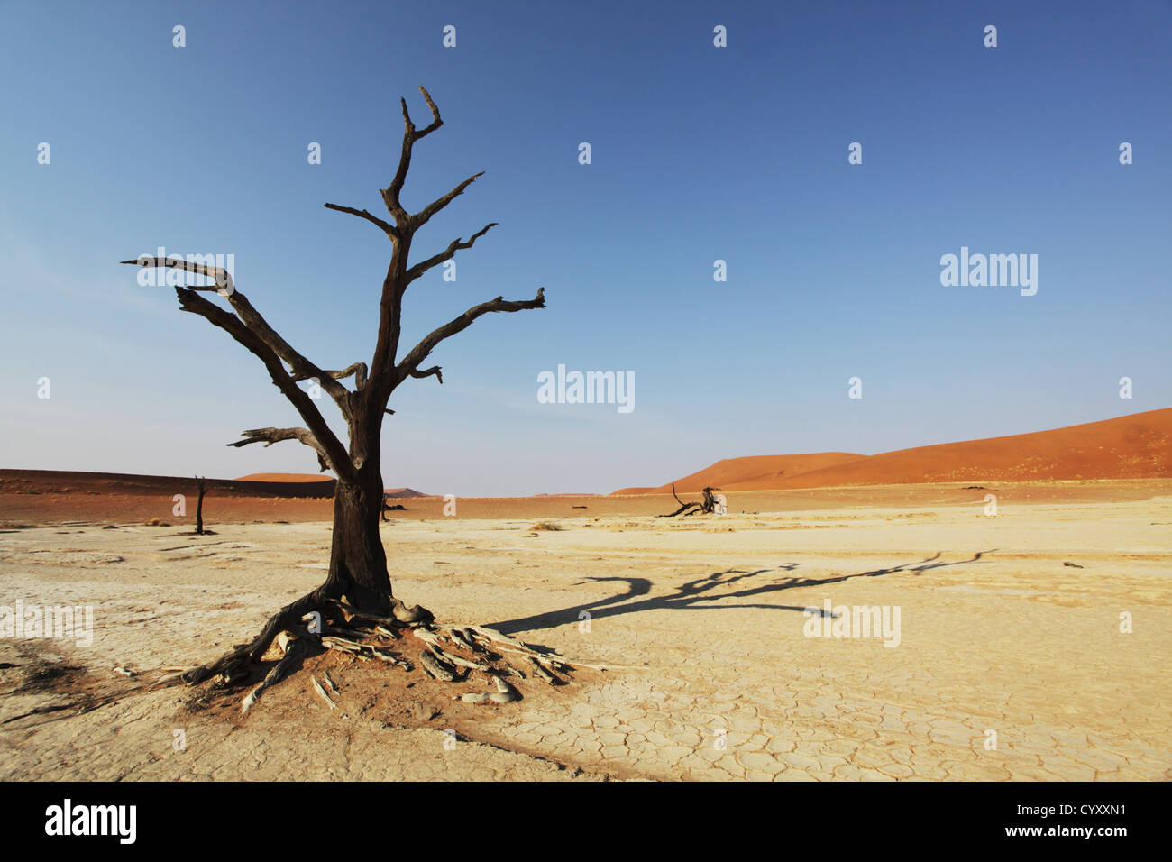 Dead valley in Namibia Stock Photo - Alamy