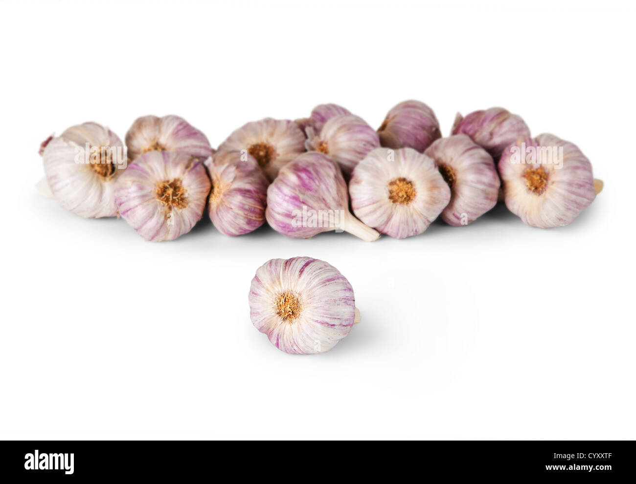 Single head of garlic in front of many others on white background Stock ...