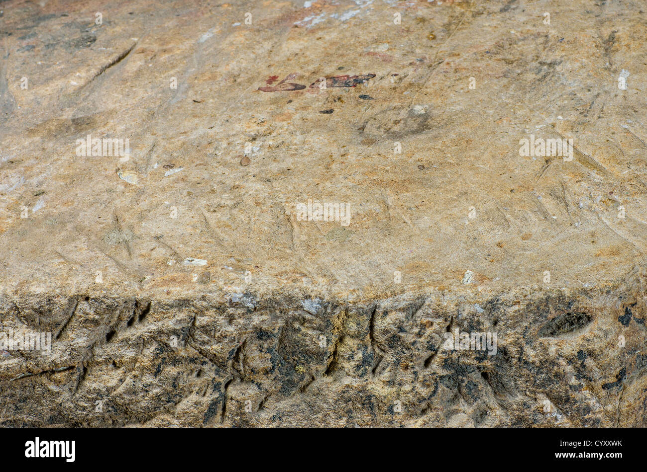 Hard sandstone hi-res stock photography and images - Alamy