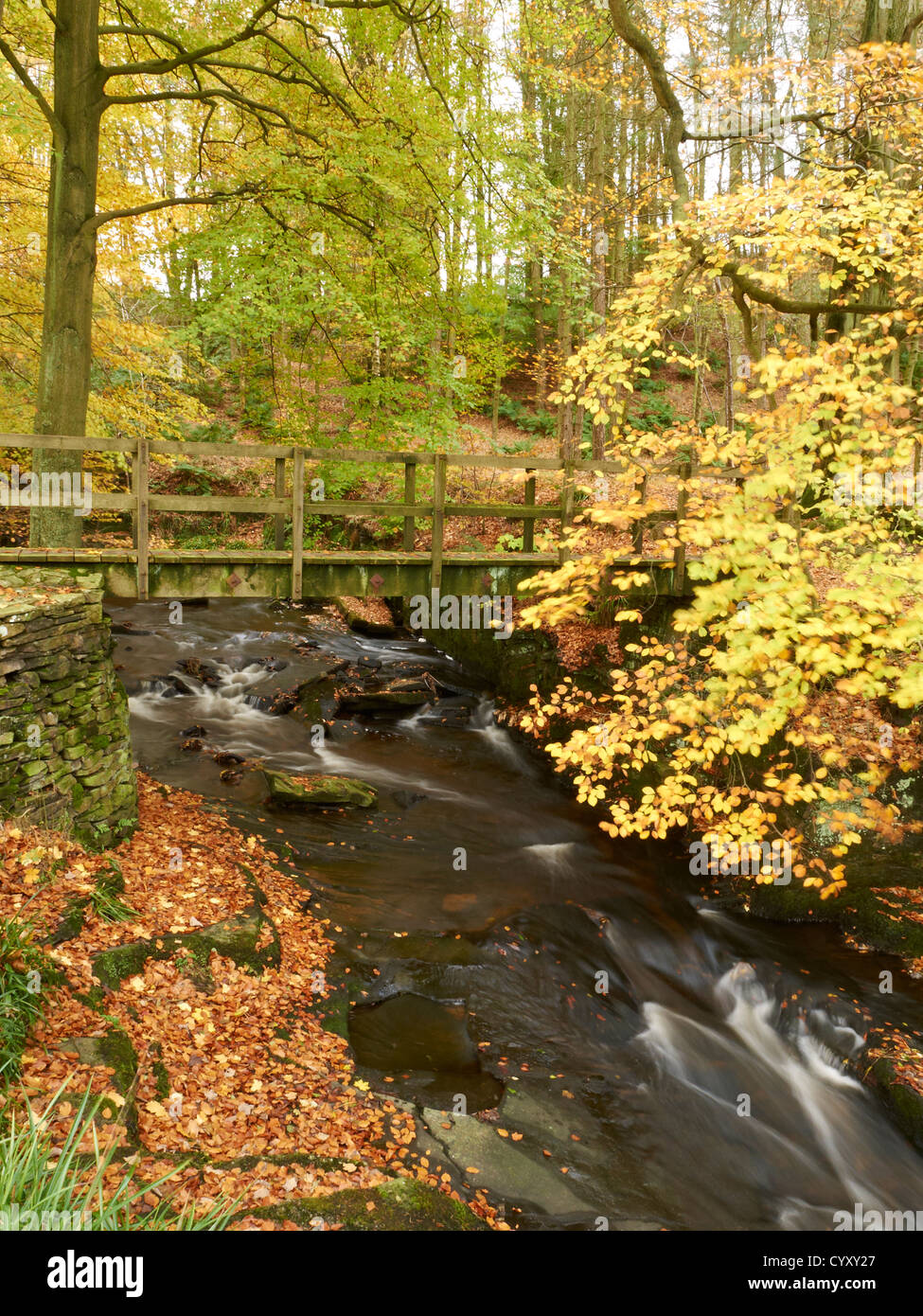 Autumn in the Peak District with walk bridge over the River Dane ...