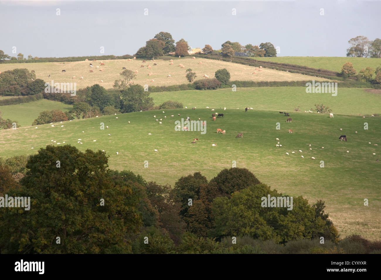 Leicestershire countryside hi-res stock photography and images - Alamy