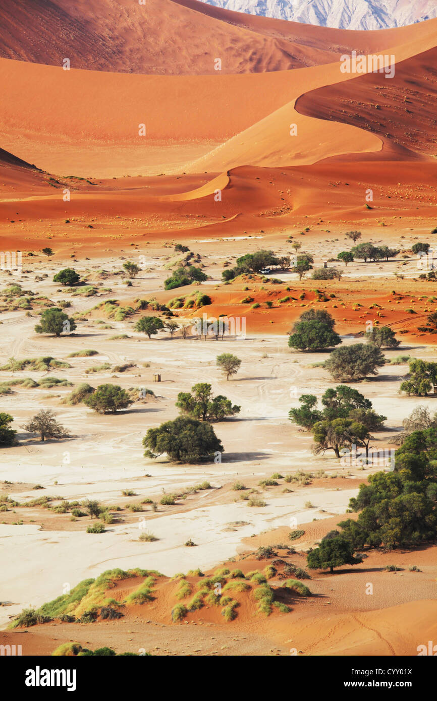 Dead valley in Namibia Stock Photo - Alamy