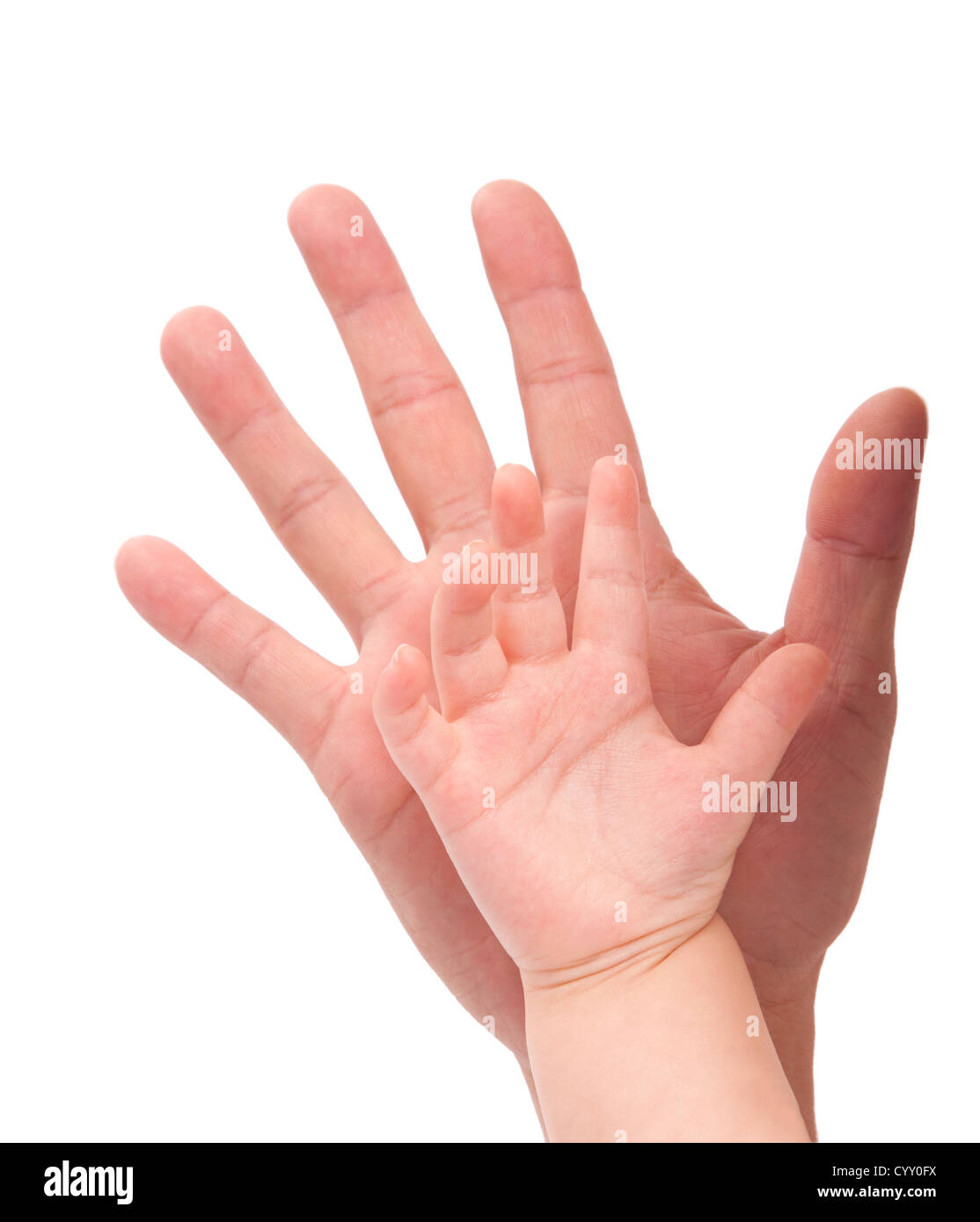 kid and father's hand. Family concept.Isolated with white background ...