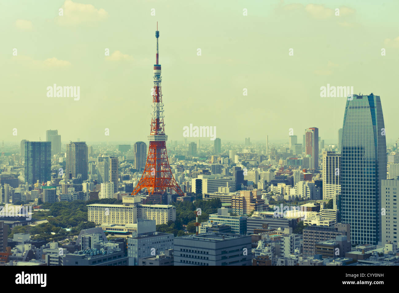 View of Tokyo and the Tokyo Tower, Japan Stock Photo - Alamy