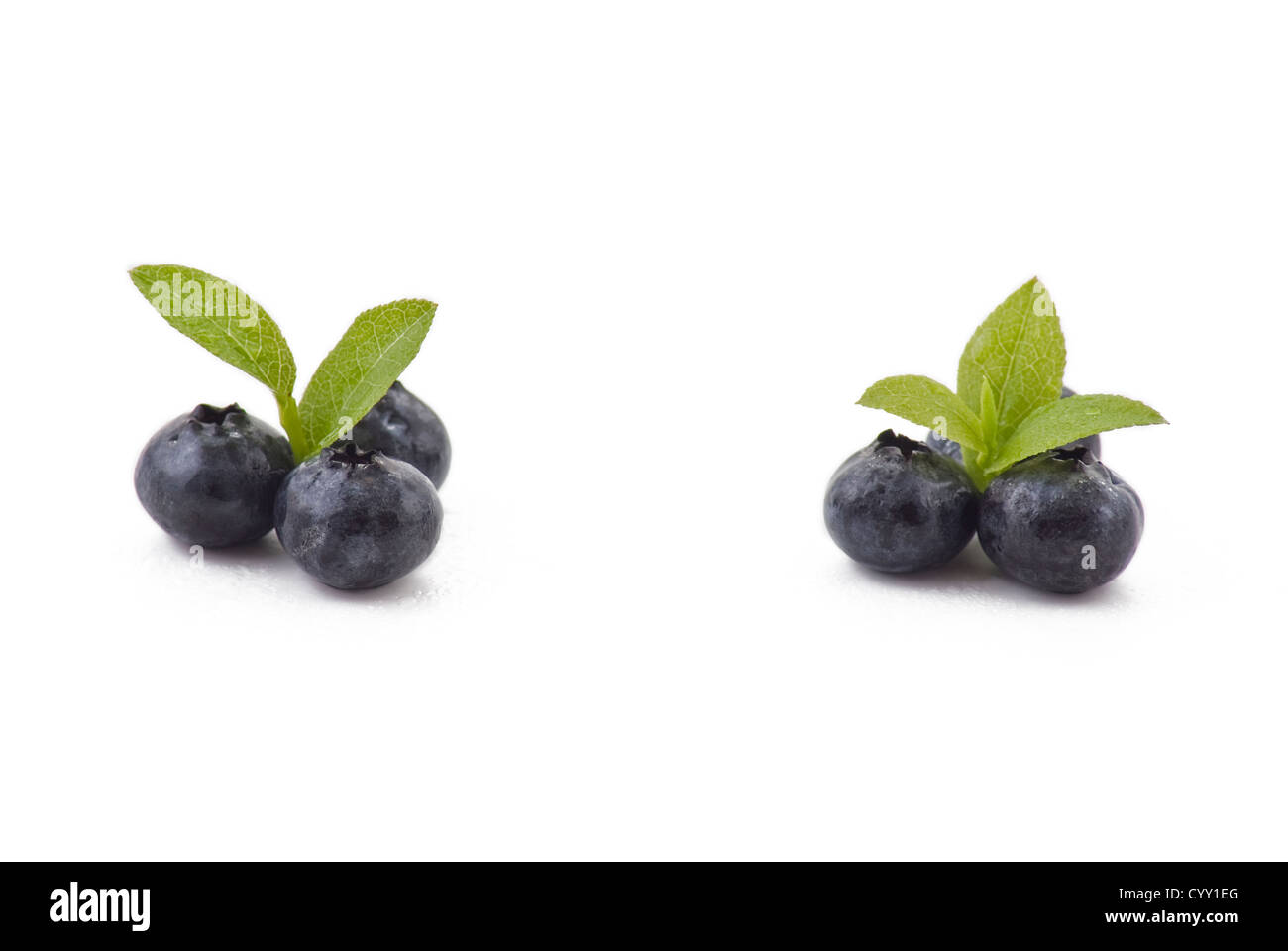 Blueberries detail hi-res stock photography and images - Alamy