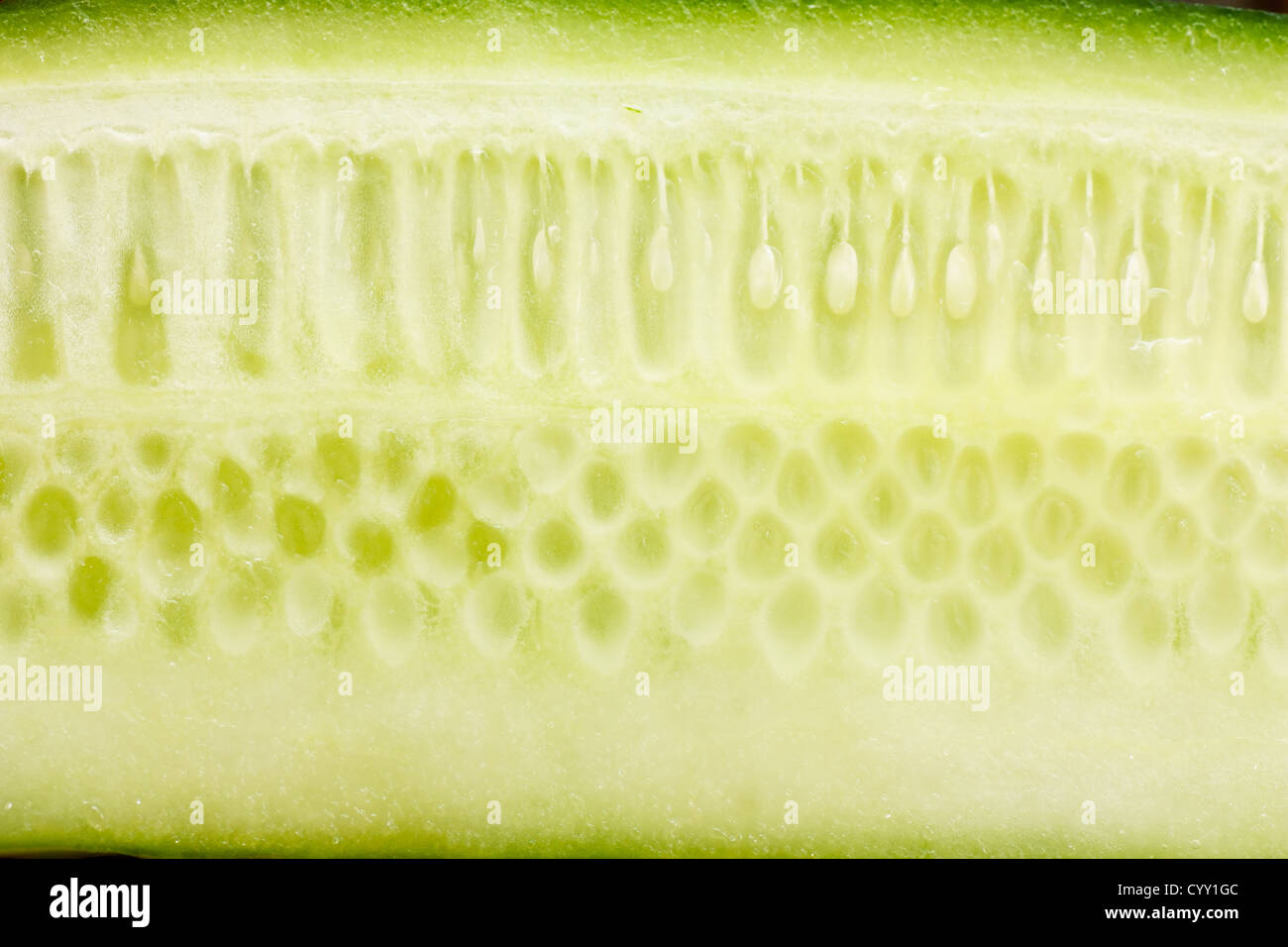 Fresh cut of cucumber Stock Photo - Alamy
