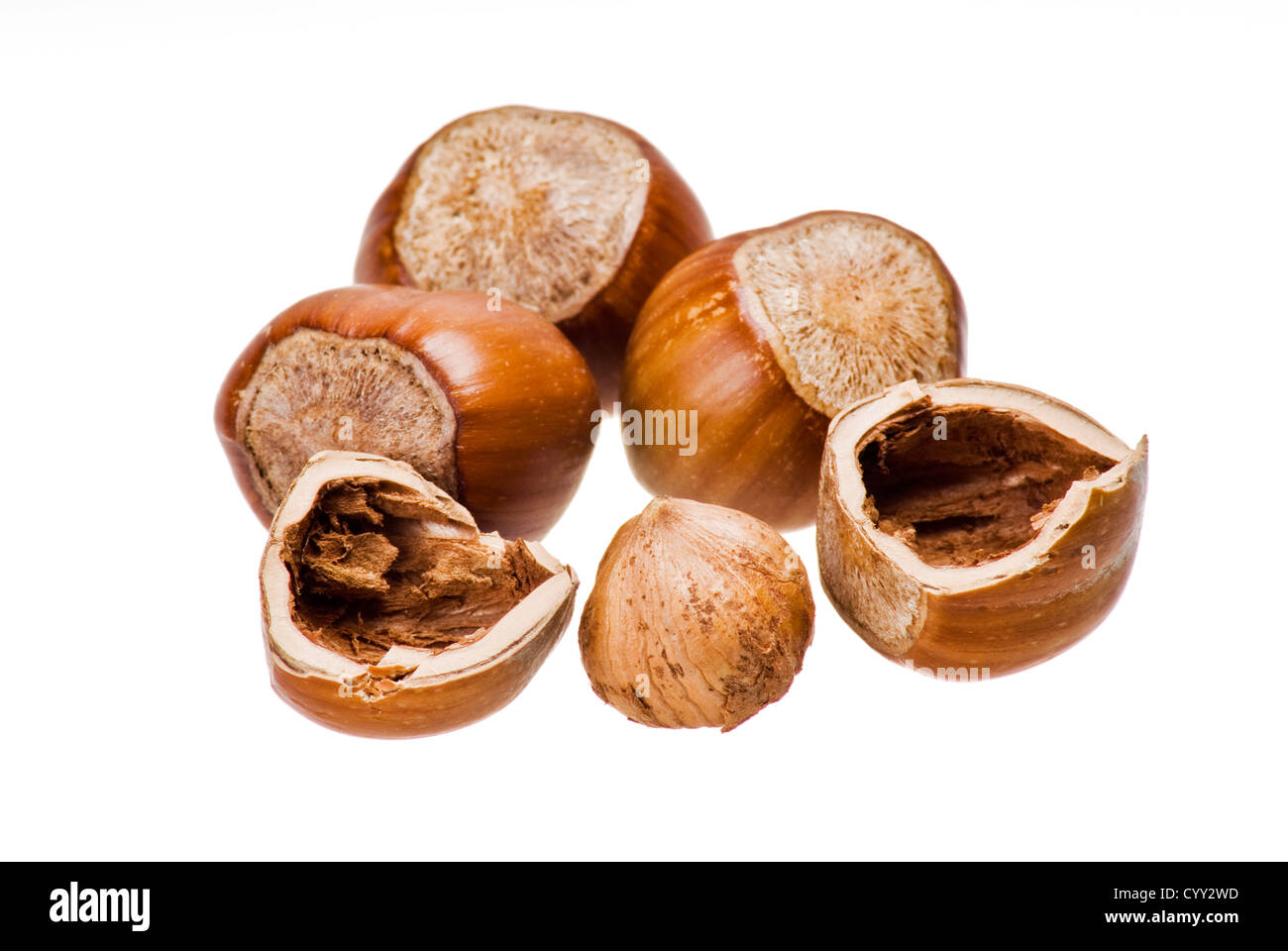 Nuts in shells with one open over white background Stock Photo - Alamy