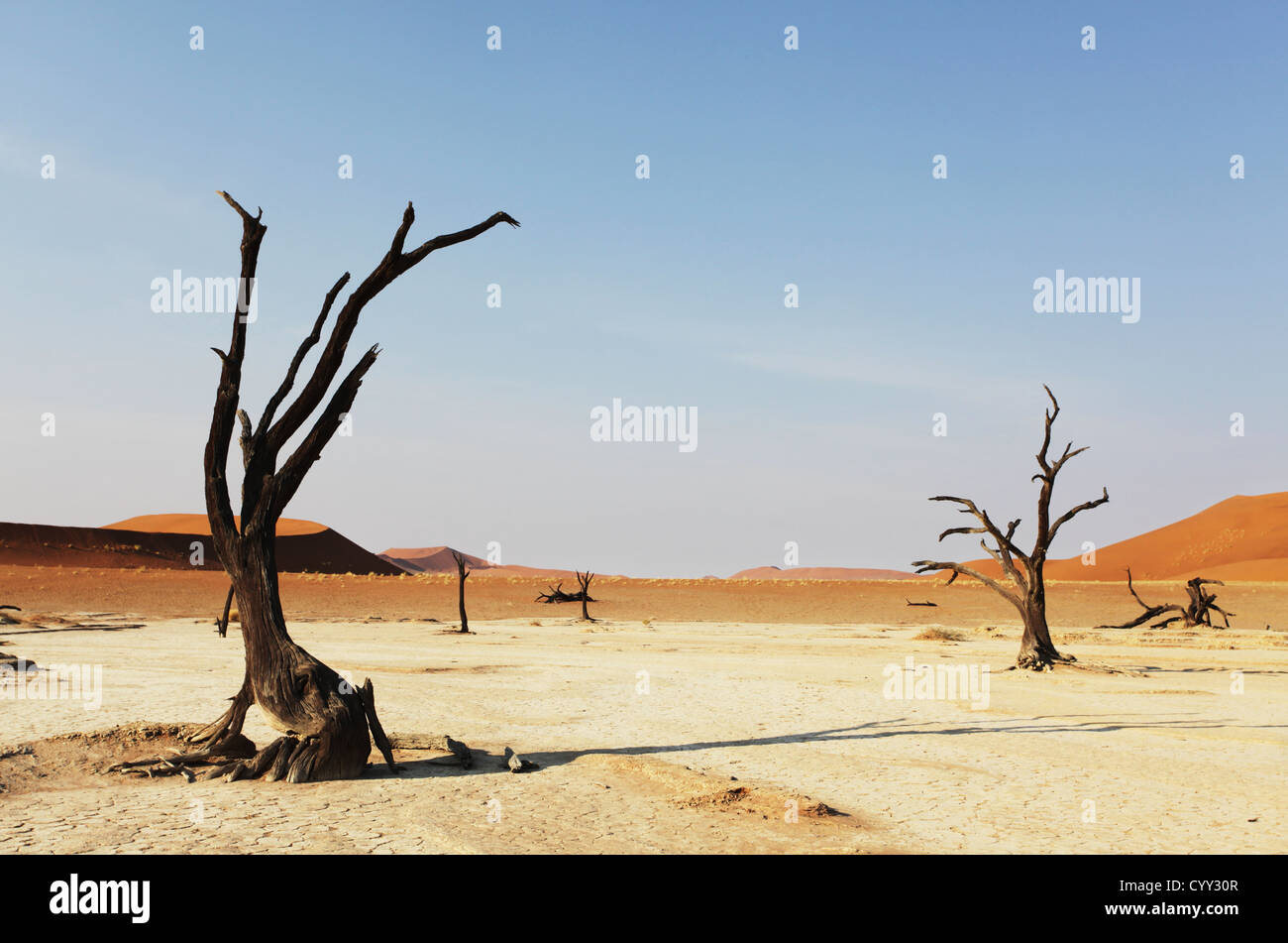 Dead valley in Namibia Stock Photo - Alamy