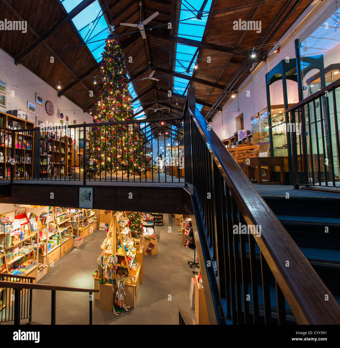 Bovey Tracey, Devon, England. November 10th 2012. A Christmas tree and ...