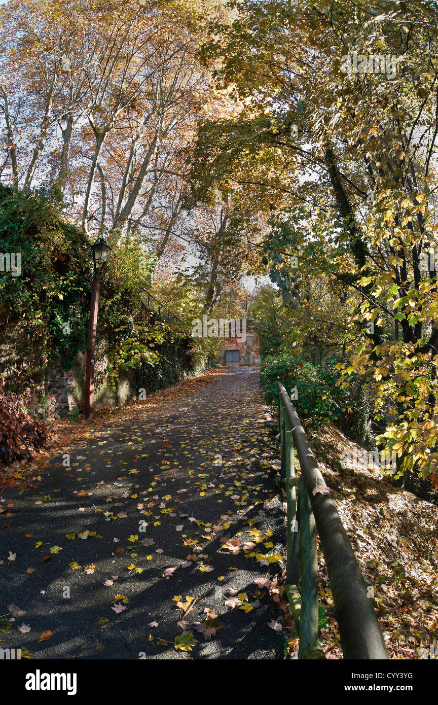 Leopardi street hi-res stock photography and images - Alamy