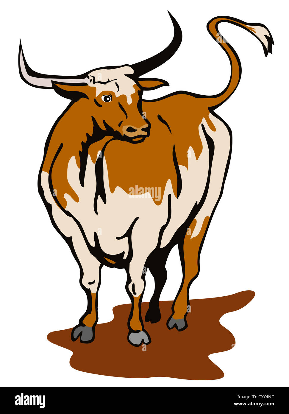 Illustration of a raging bull charging attacking on isolated white ...