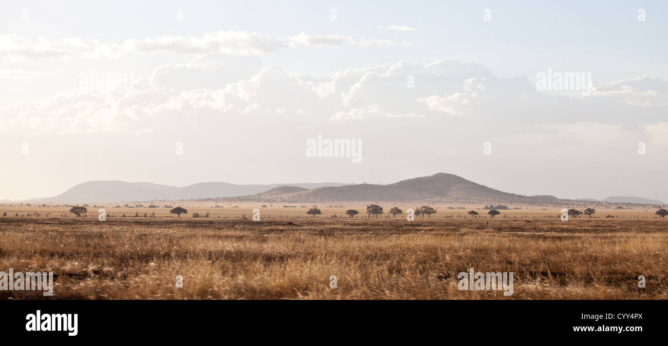 A wide angle view of a mountain range and valley in the Serengeti ...
