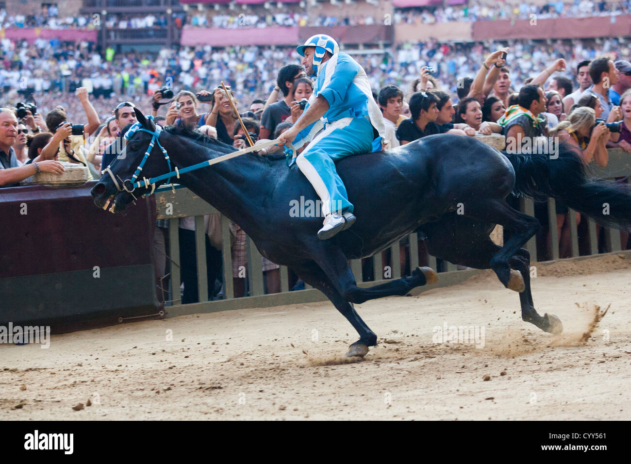 the race, contrada of the wave, palio of siena, siena, tuscany, italy ...