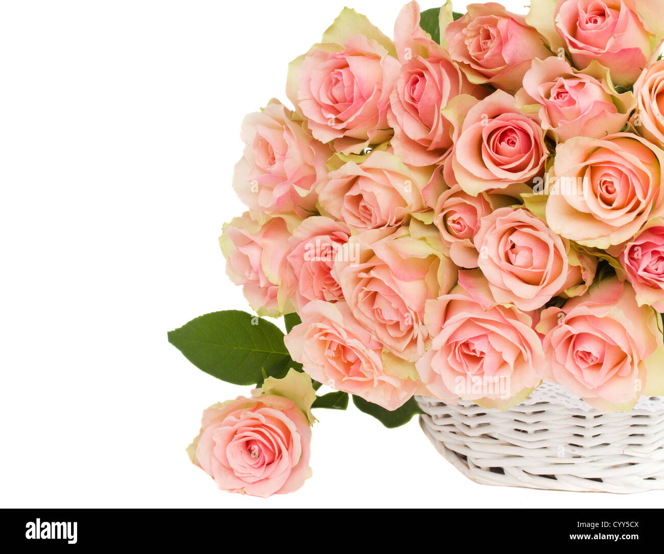 bouquet of pink roses in basket isolated on white background Stock ...