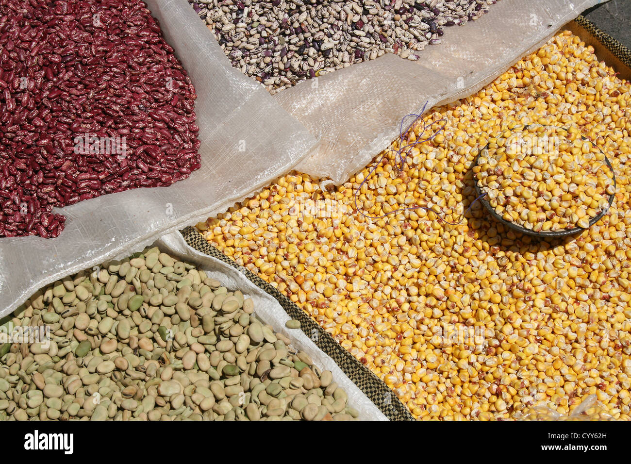 Bags of beans and corn in different varieties and colors for sale at ...
