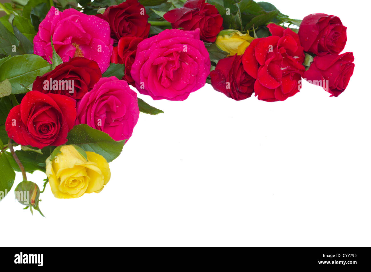 bouquet of multicolored roses isolated on white background Stock Photo ...