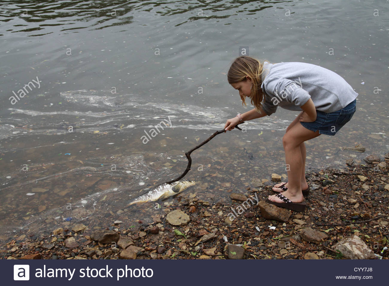 Dead Fish Floating Stock Photos & Dead Fish Floating Stock Images - Alamy
