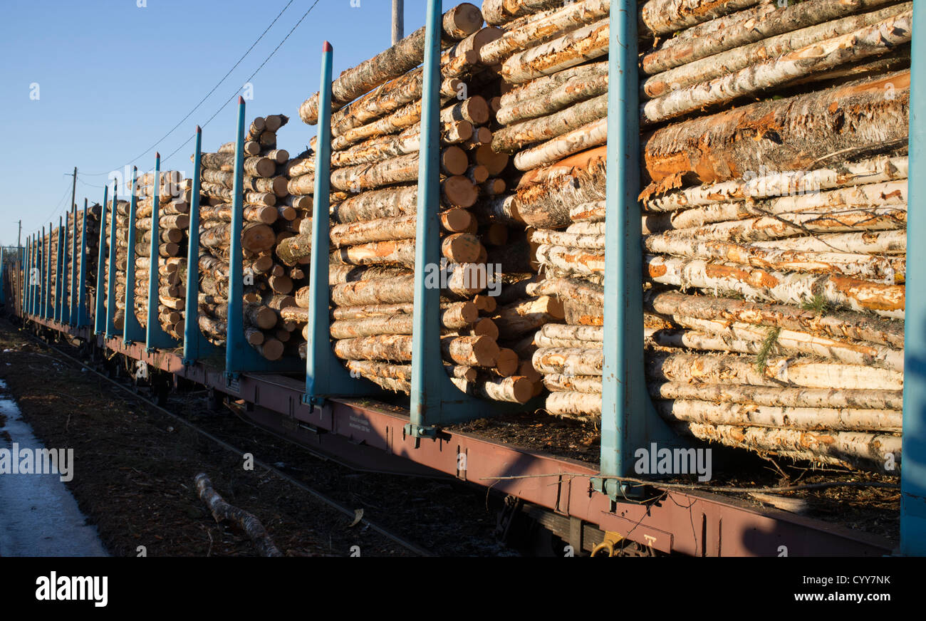 Logging railroads hi-res stock photography and images - Alamy