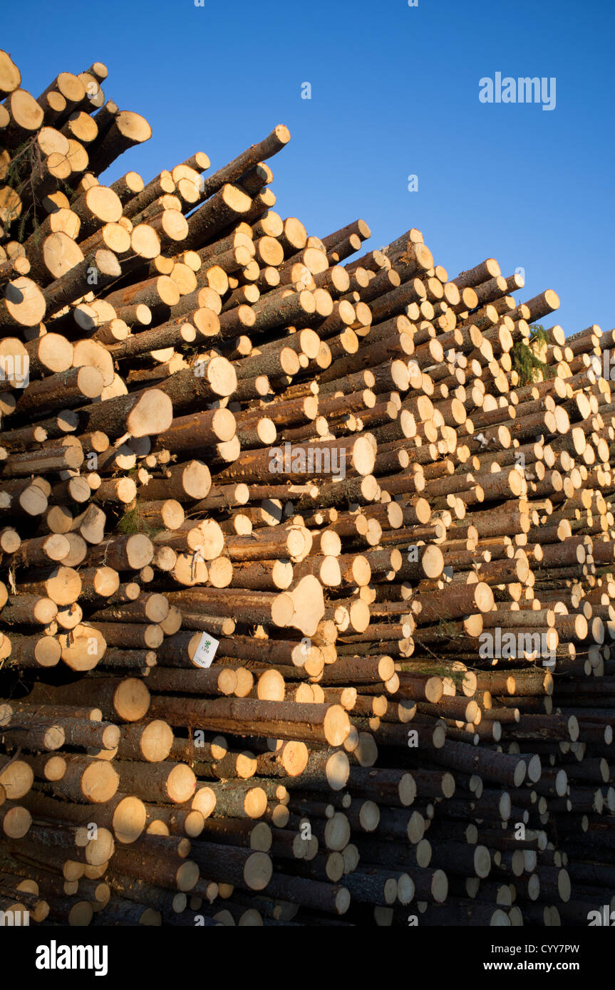 Stack pile spruce logs hi-res stock photography and images - Alamy