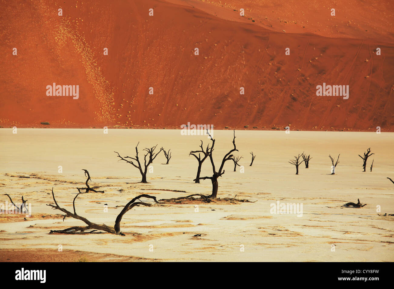 Dead valley in Namibia Stock Photo - Alamy
