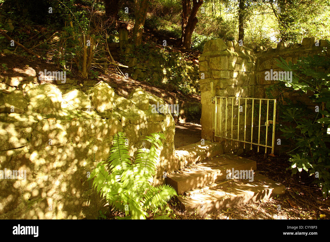 Rural gate hi-res stock photography and images - Alamy