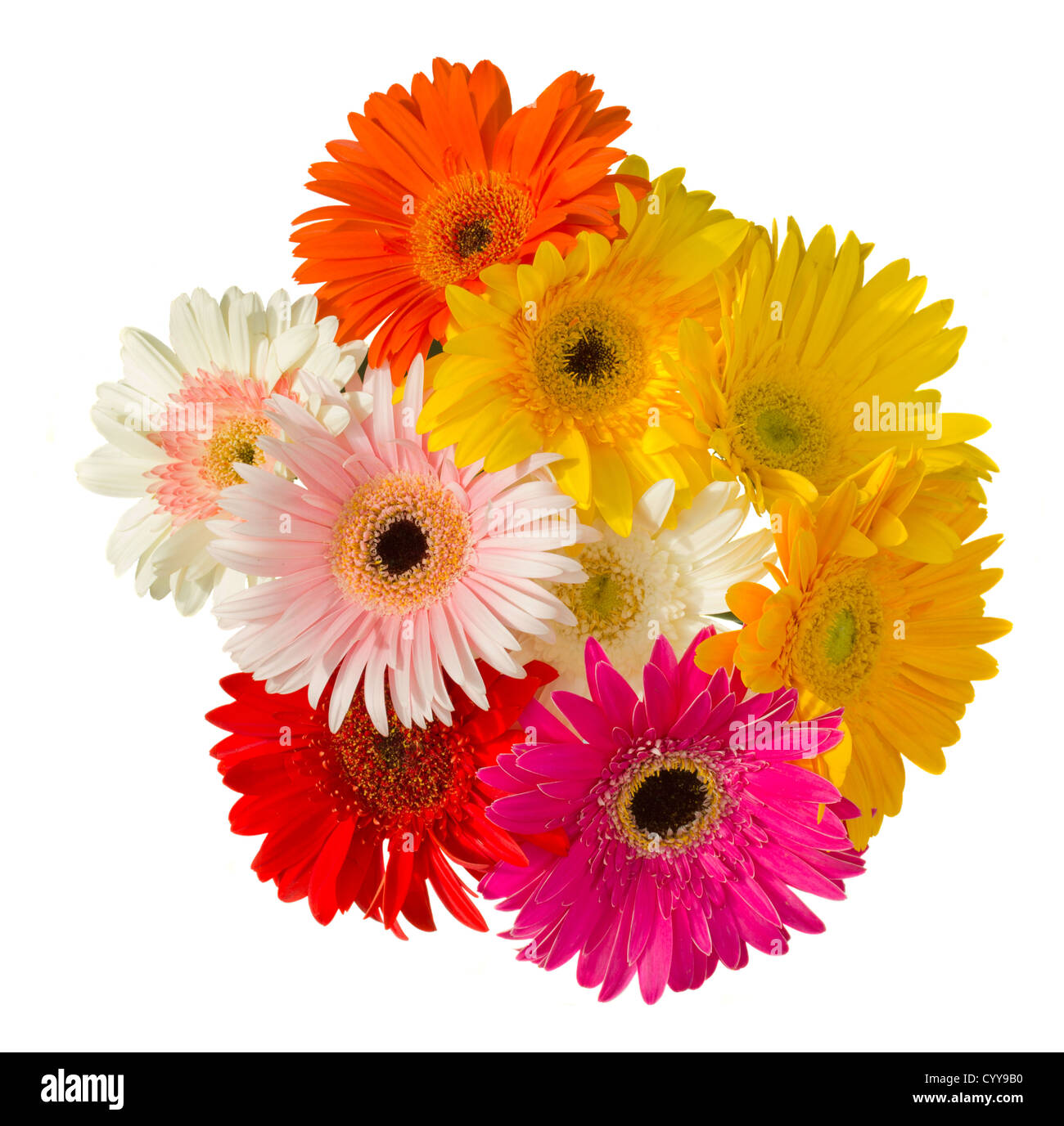 bouquet of gerbera flowers isolated on white background Stock Photo - Alamy