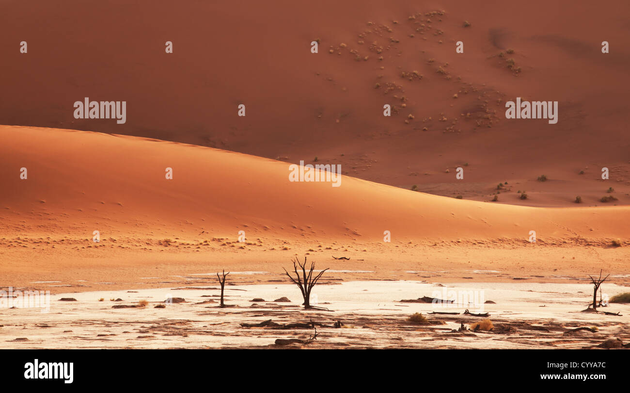 Dead valley in Namibia Stock Photo - Alamy