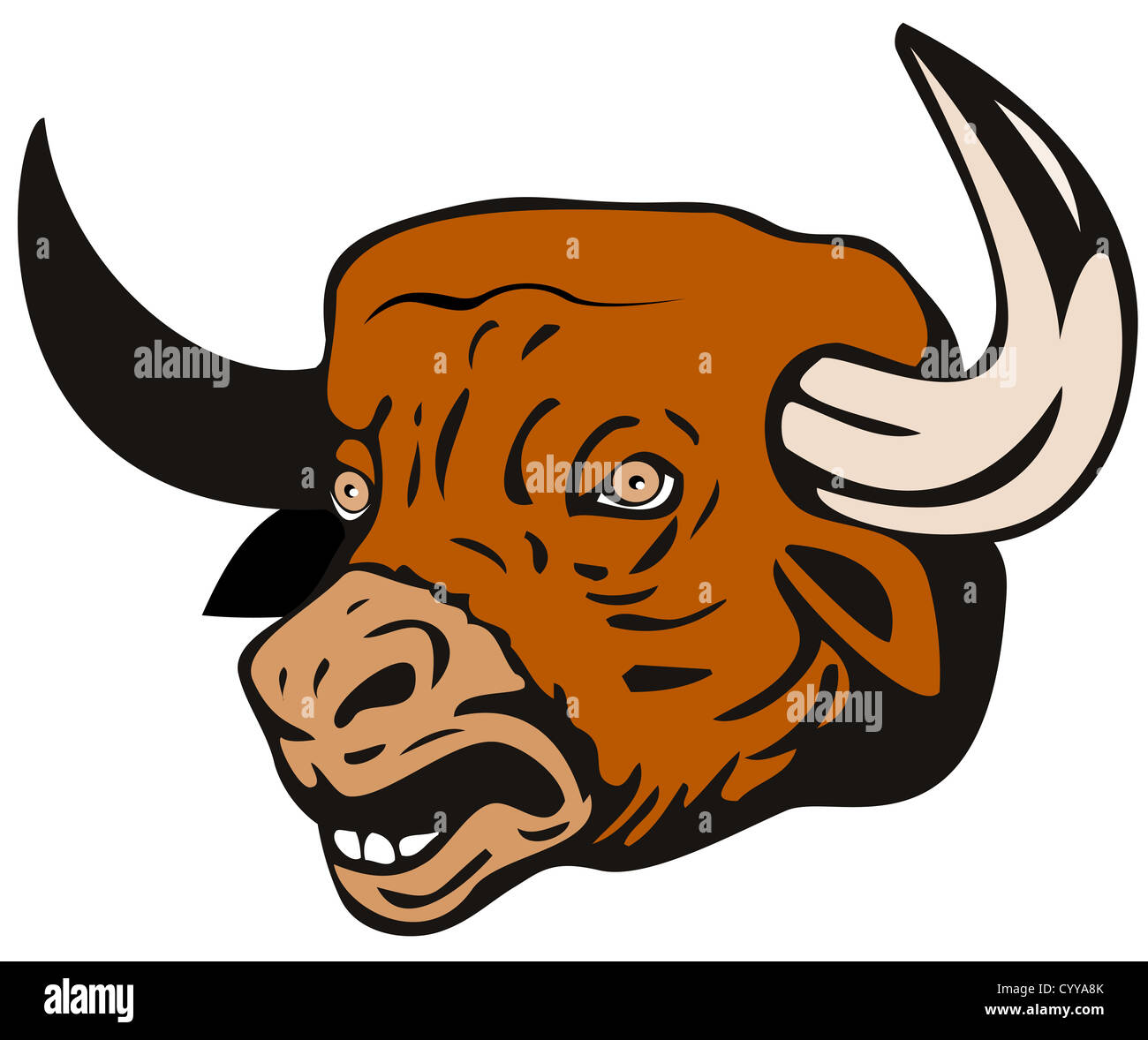 illustration of a raging bull charging attacking on isolated white ...