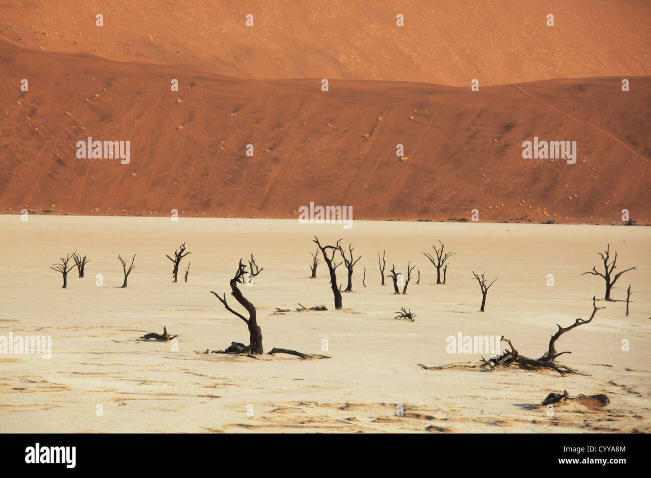 Dead valley in Namibia Stock Photo - Alamy