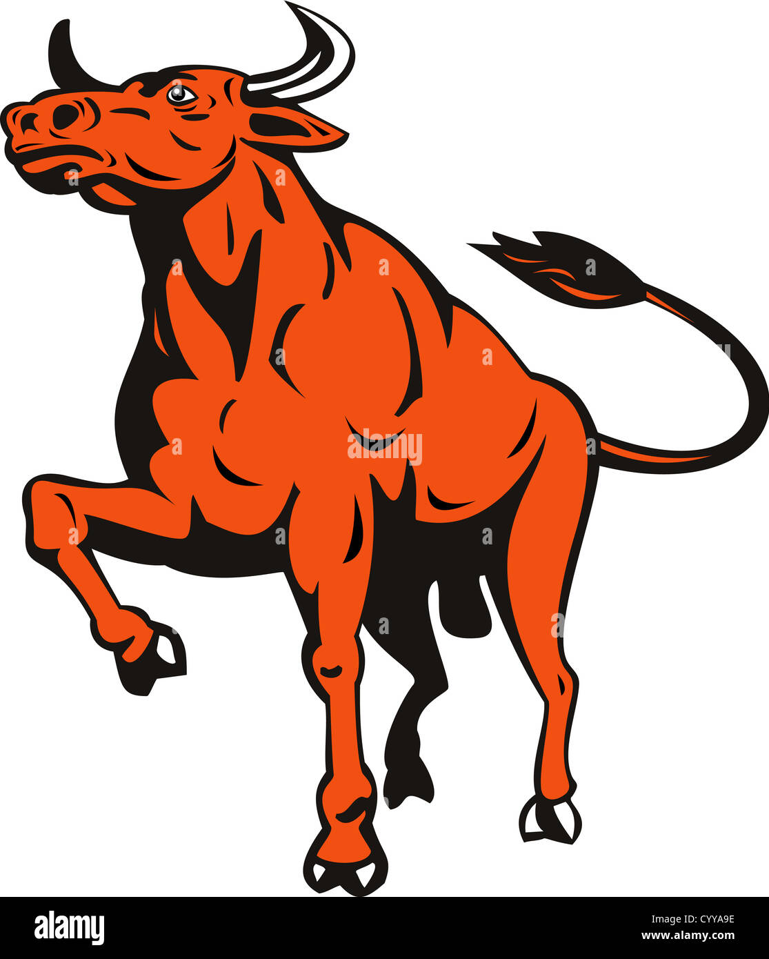 illustration of a raging bull charging attacking on isolated white ...